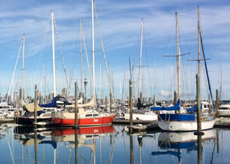 Our home page - Maritime NZ