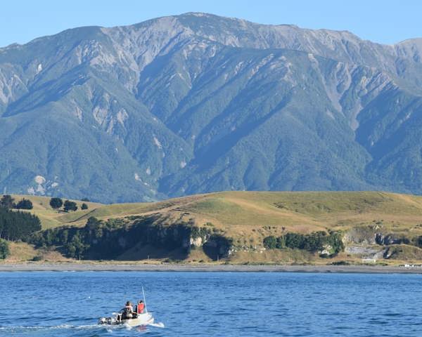 Our home page - Maritime NZ